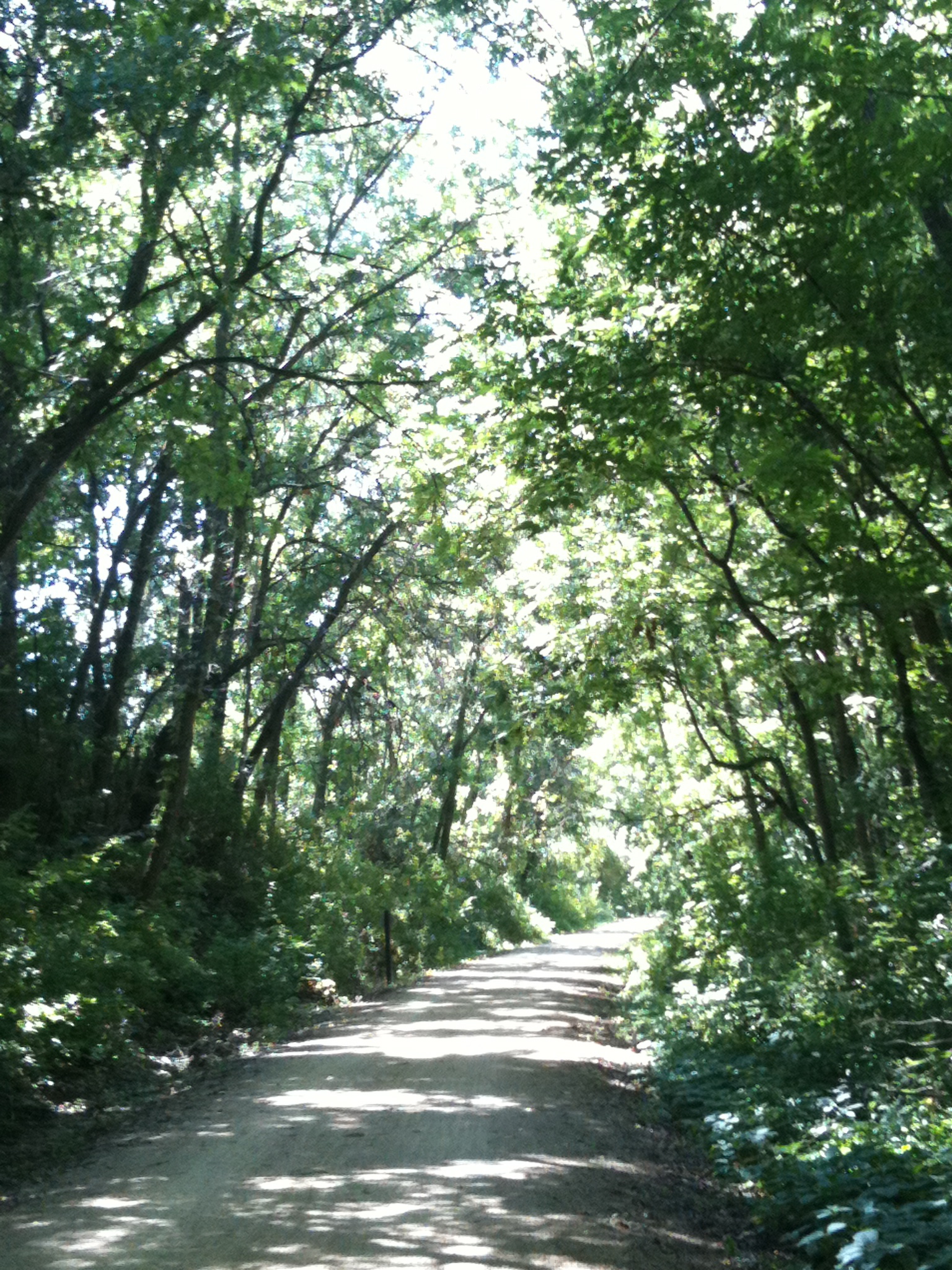 Update From the Trail – Terri's Notebook