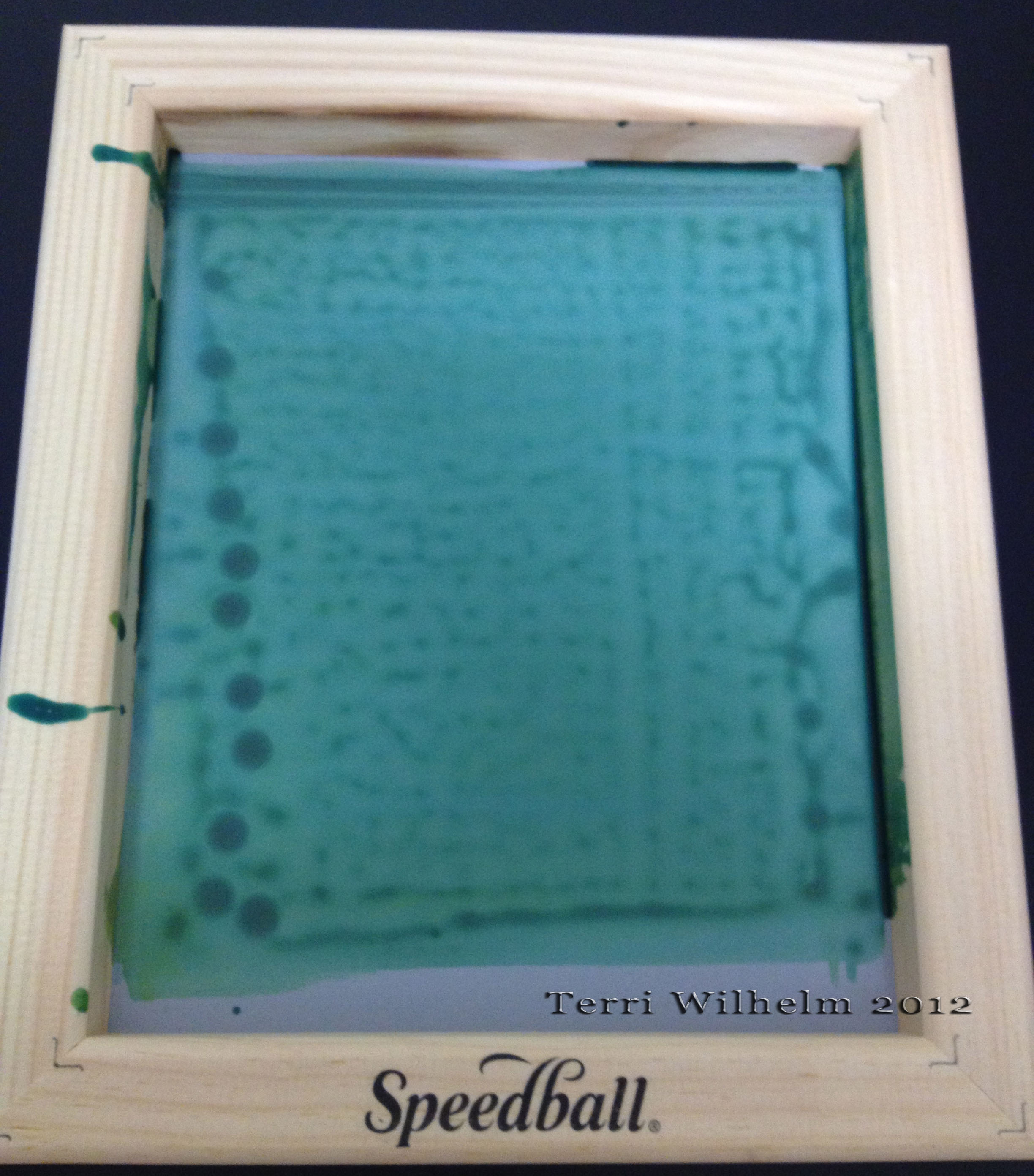 Screenprinting At Home – Terri's Notebook