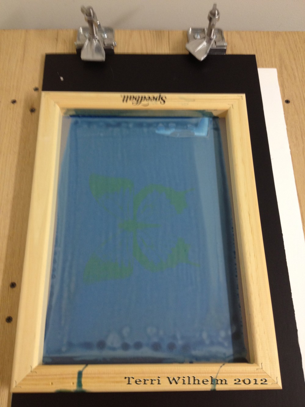 Screenprinting At Home – Terri's Notebook