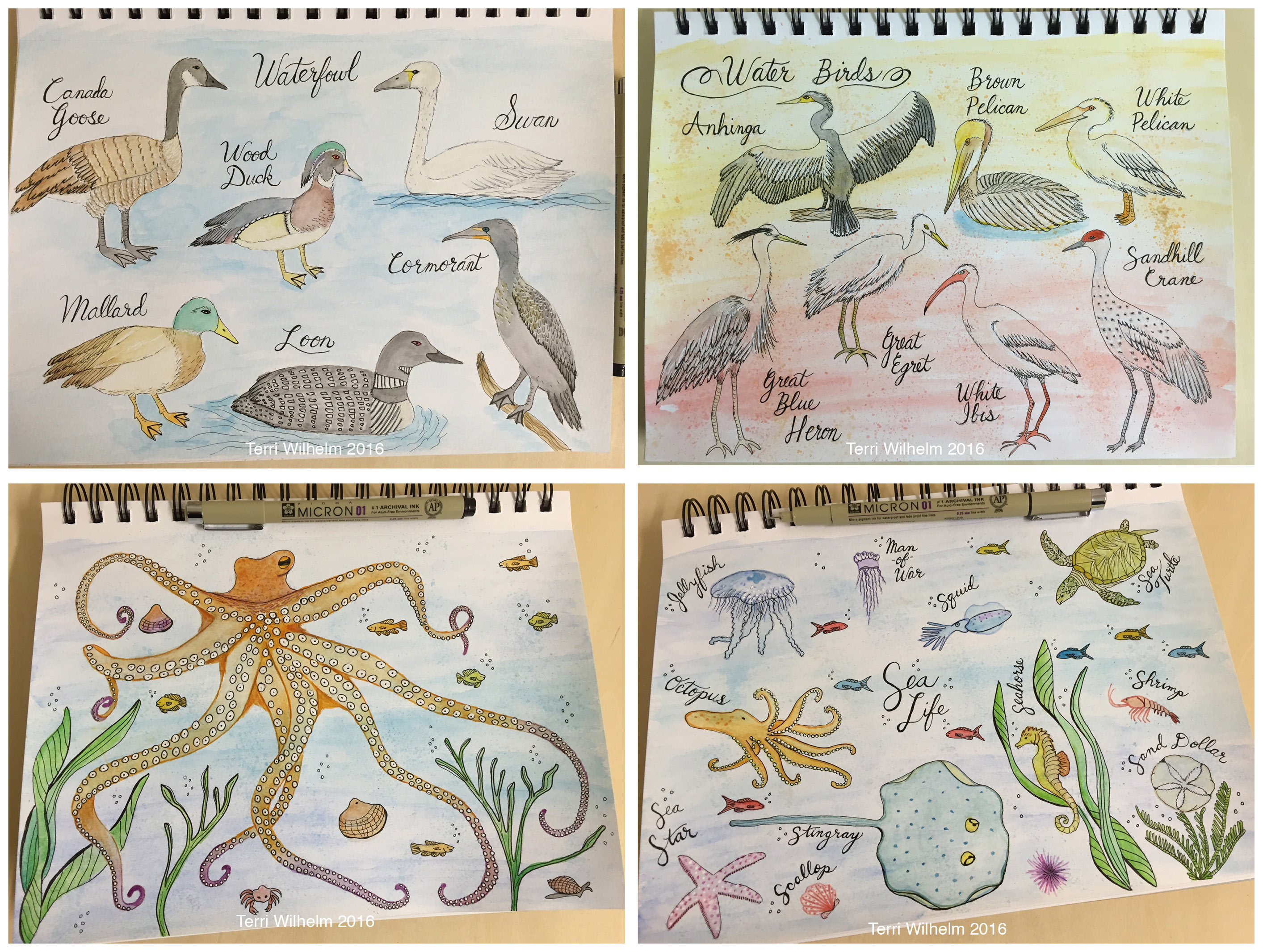 Animal Art Series Weeks 1-16 – Terri's Notebook