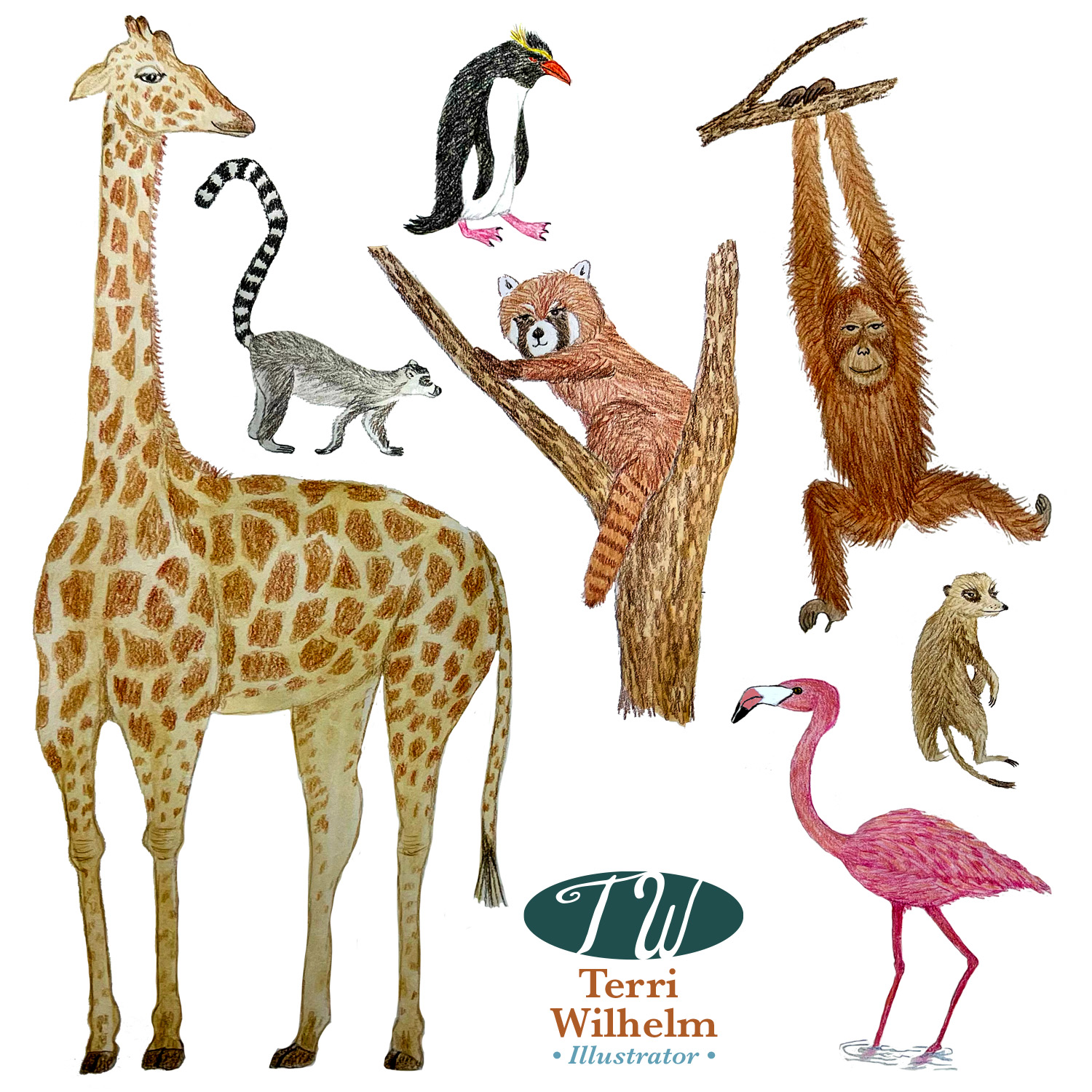 surface pattern – Terri's Notebook