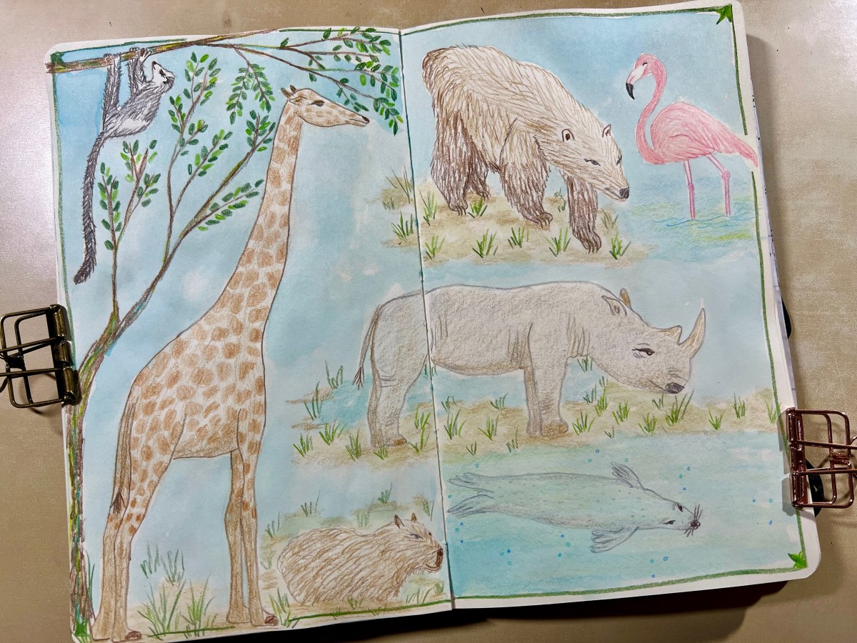 June recap – Terri's Notebook