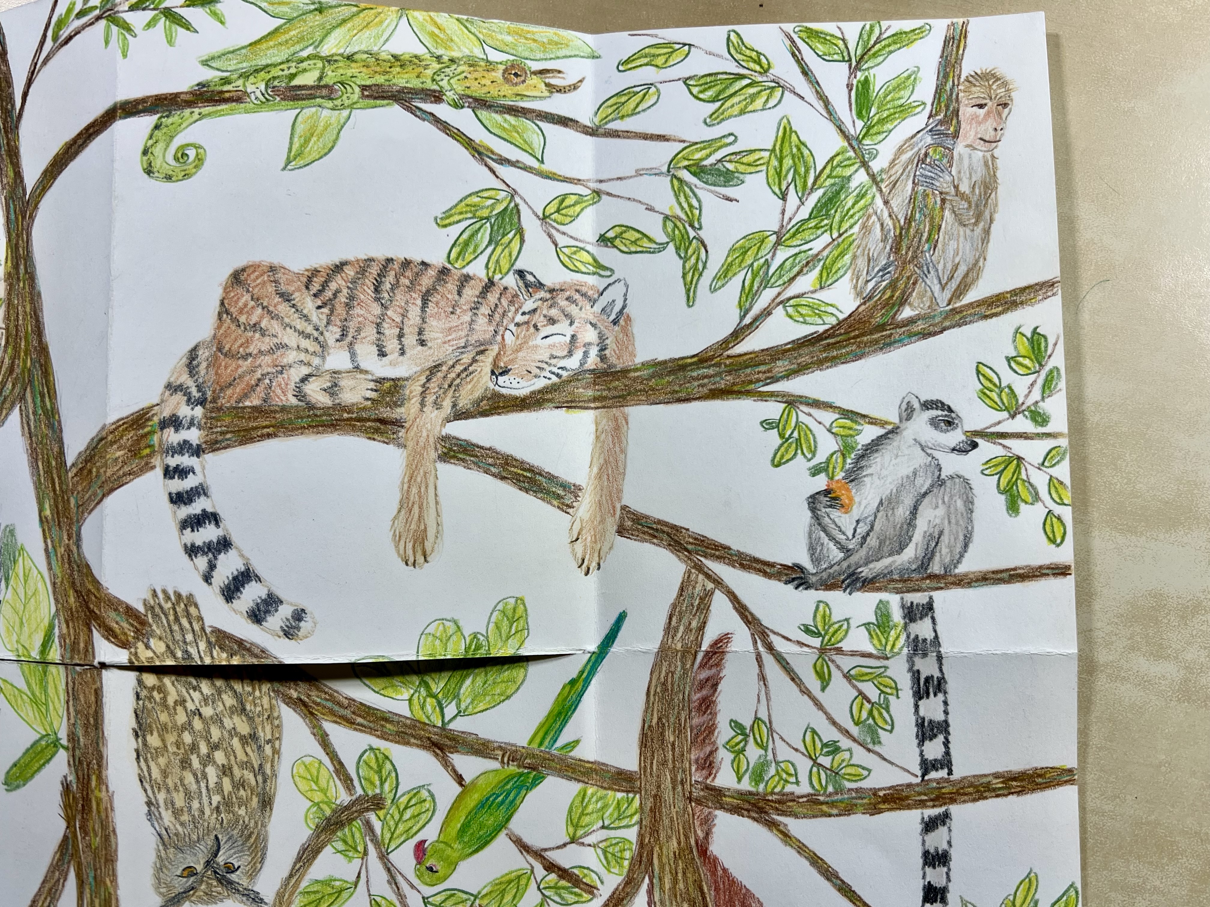 Tree of Life Animal Zine – Terri's Notebook