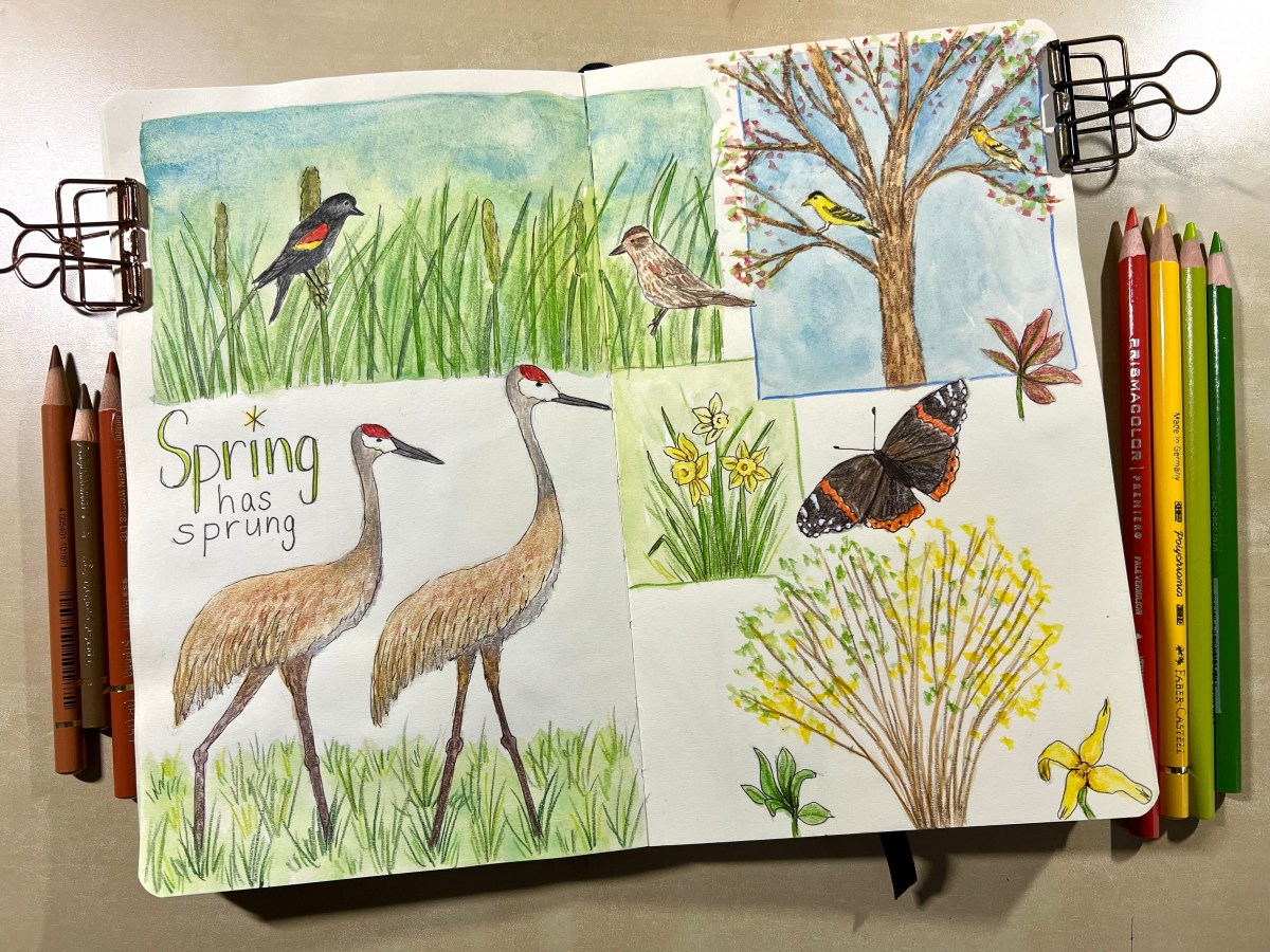 A Day in Life – Terri's Notebook